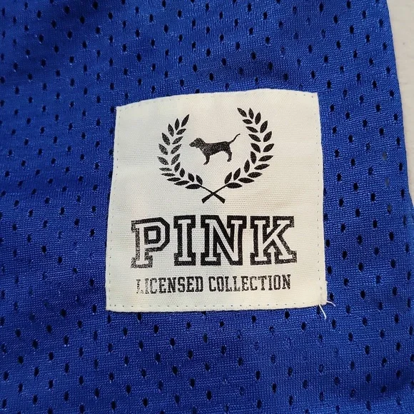 Pink Detroit Lions Logo